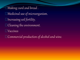 Useful Microorganisms In Our Daily Life