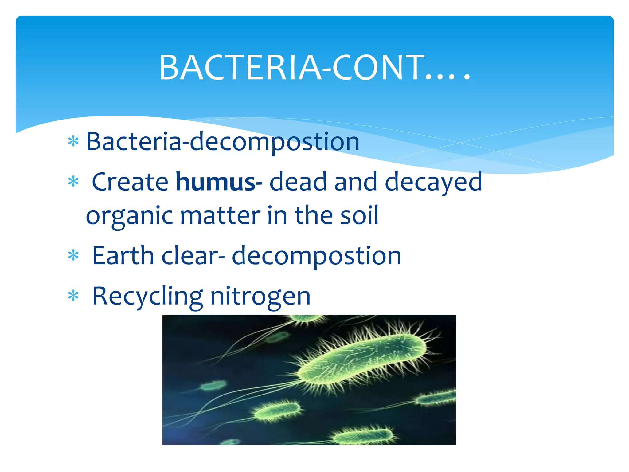Micro organisms in the ecosystem | PPTX