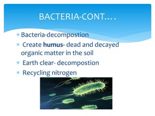 Micro organisms in the ecosystem | PPTX