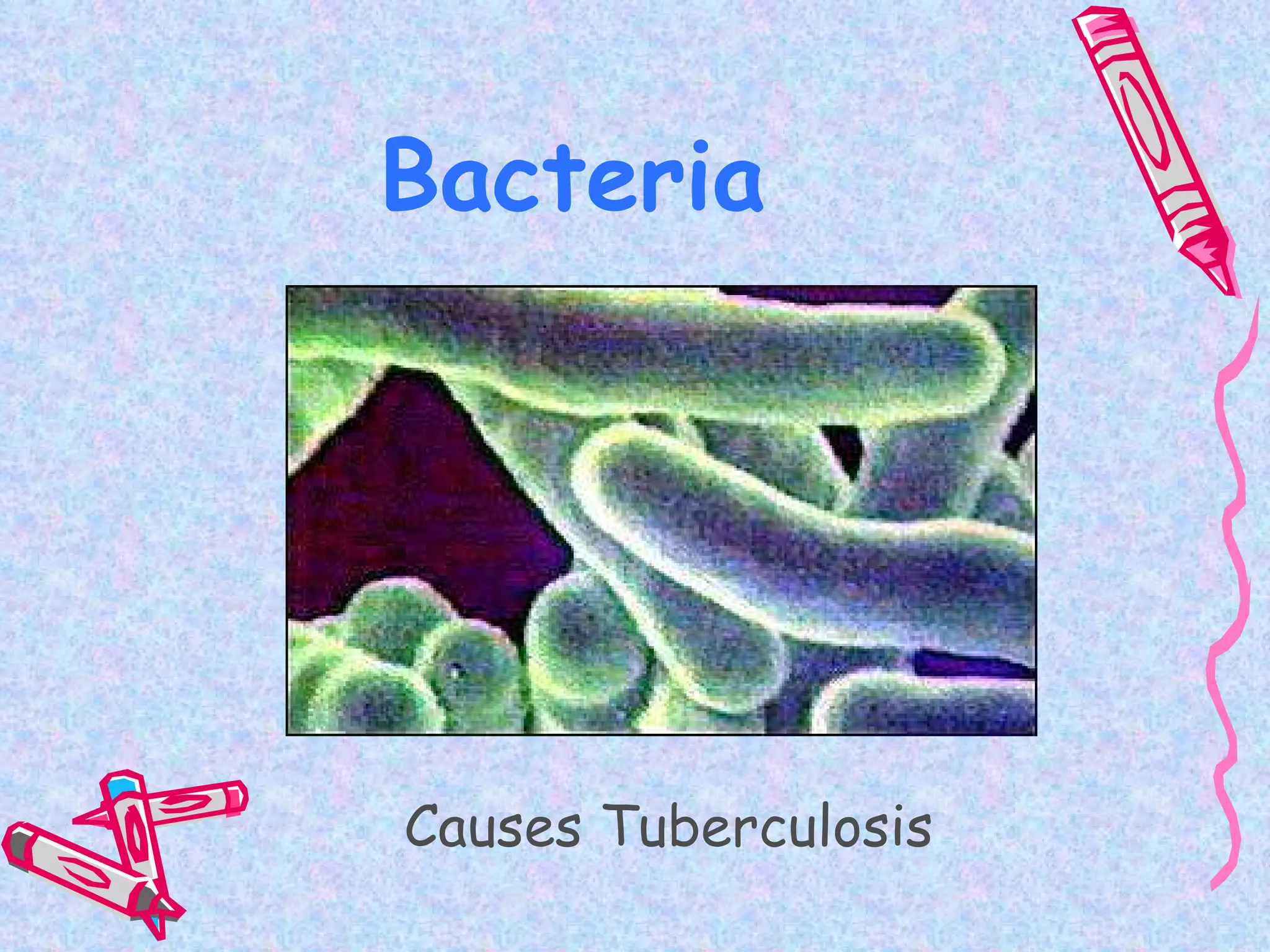 Micro organisms pics | PPT