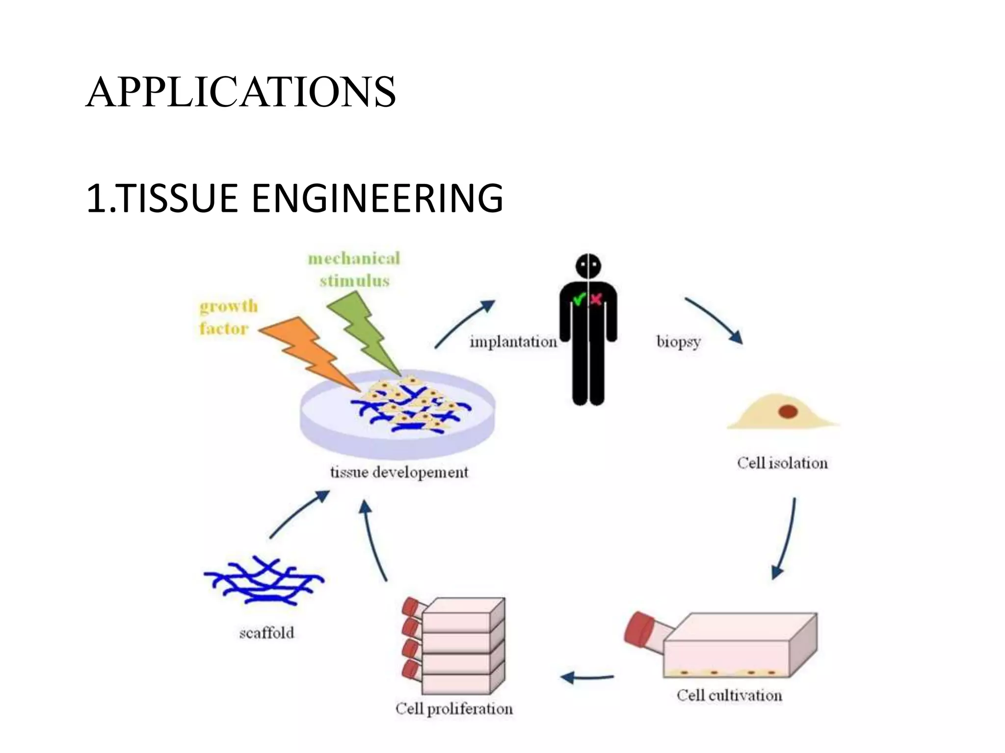 Micro piv measurements for hydrodynamic characterizations of ...
