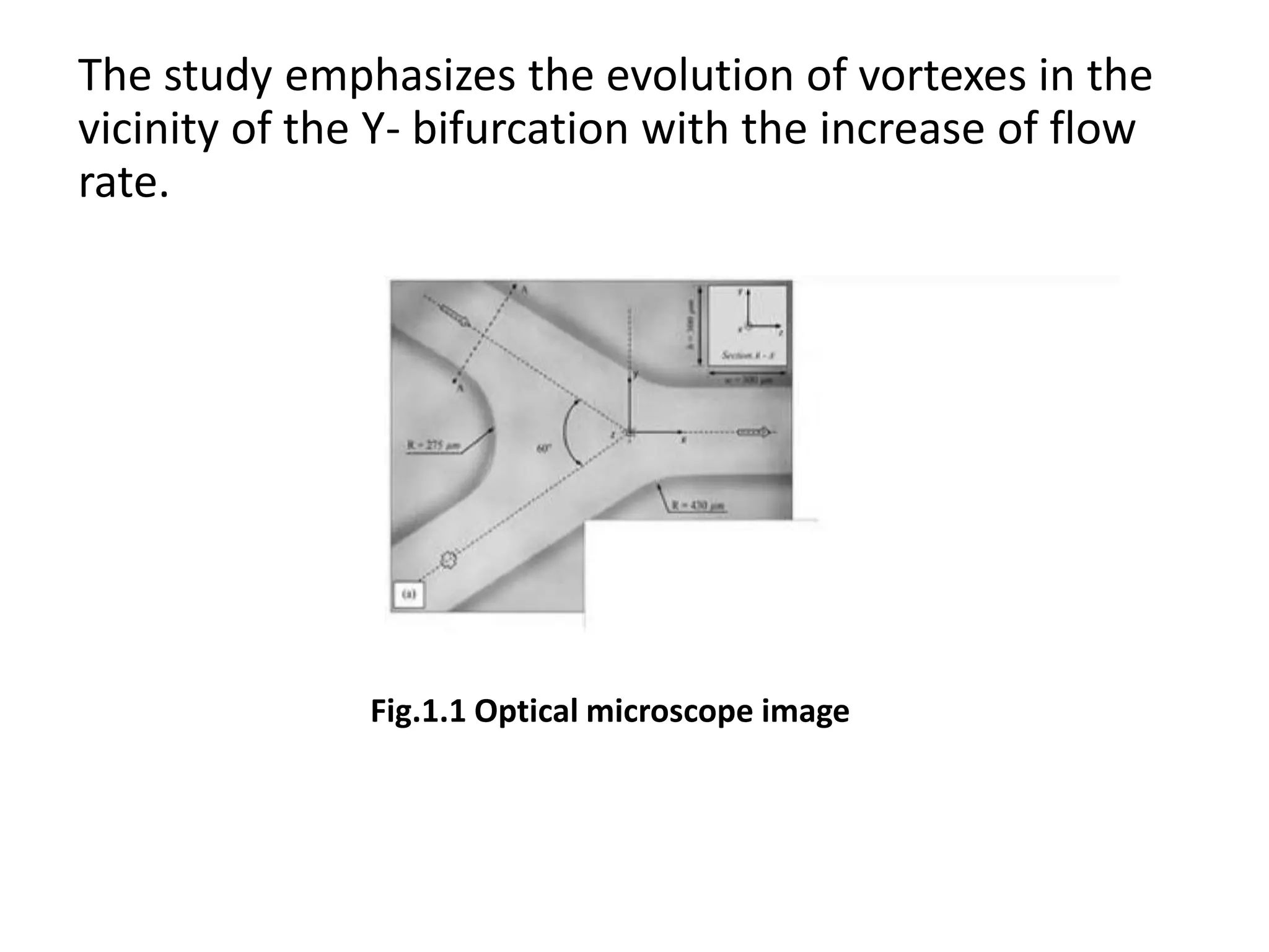 Micro piv measurements for hydrodynamic characterizations of ...