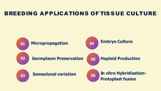 micropropagation in plant biotechnology.pptx