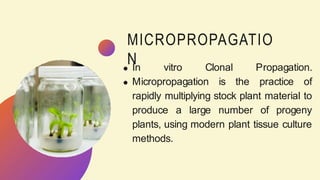 micropropagation in plant biotechnology.pptx