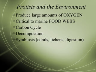 Protists | PPT