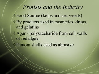Protists | PPT