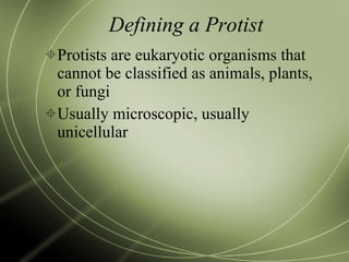 Protists | PPT