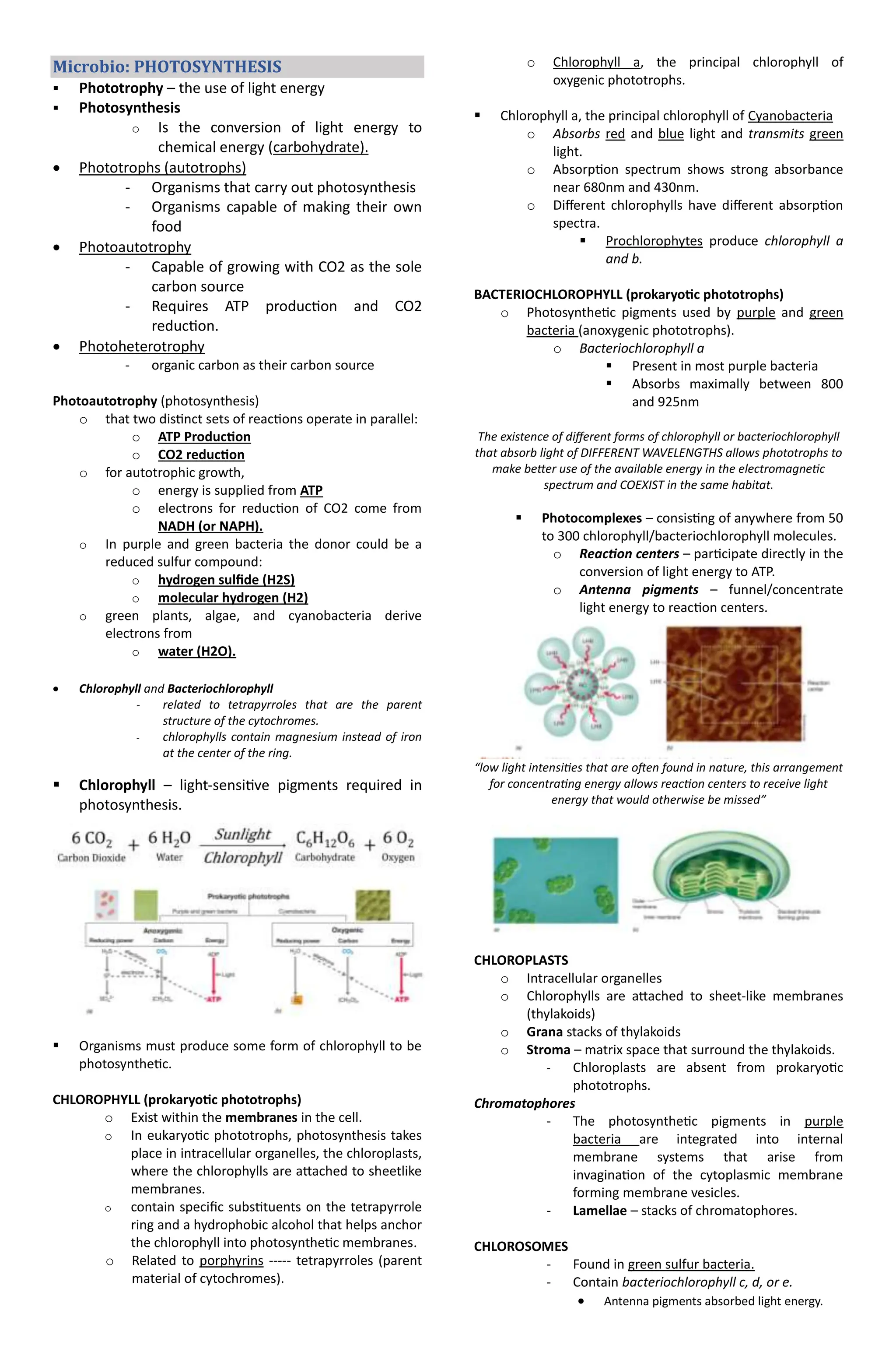 Micro-reviewer-3.docx