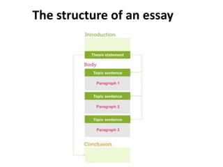 Writing Process | PPTX