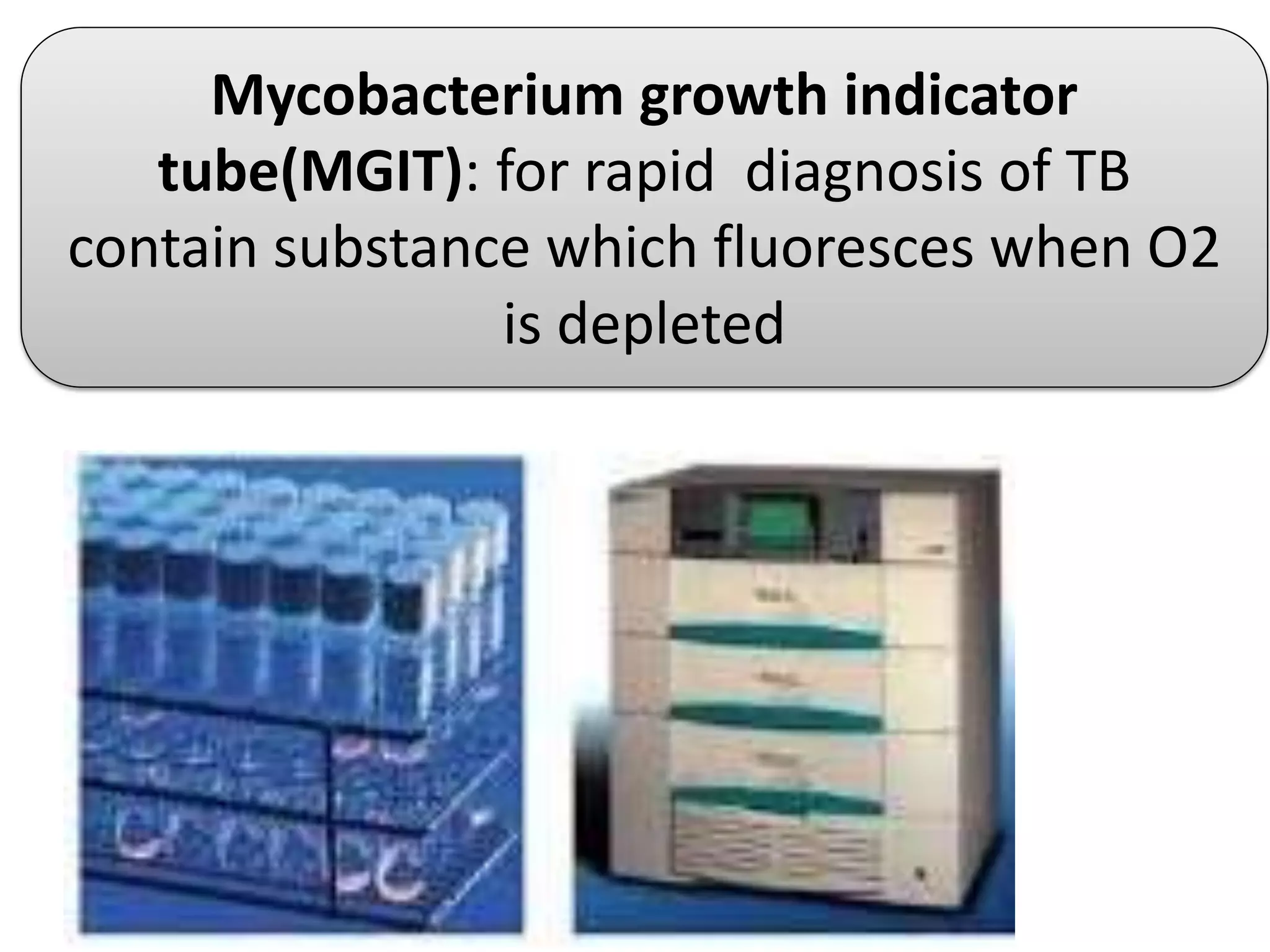 Practical Microbiology Media part | PDF