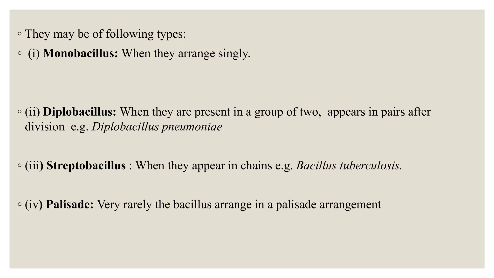 Size, Shape and Arrangement of bacteria | PPTX