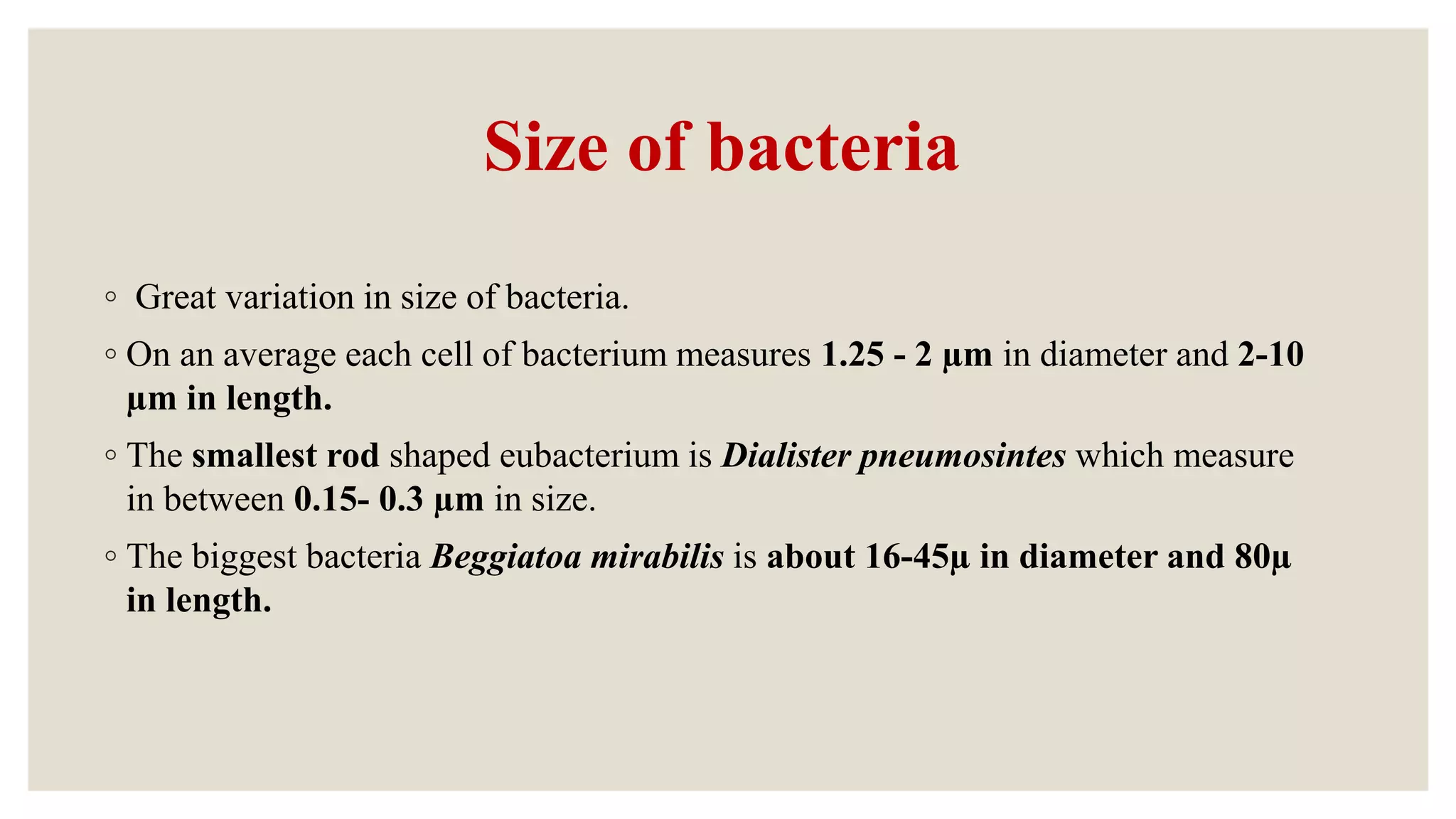 Size, Shape and Arrangement of bacteria | PPTX