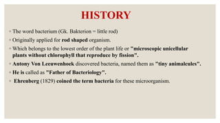 Size, Shape and Arrangement of bacteria | PPTX