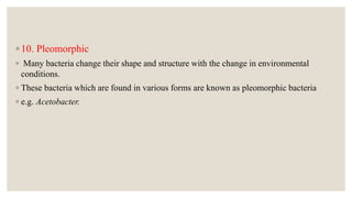 Size, Shape and Arrangement of bacteria | PPTX