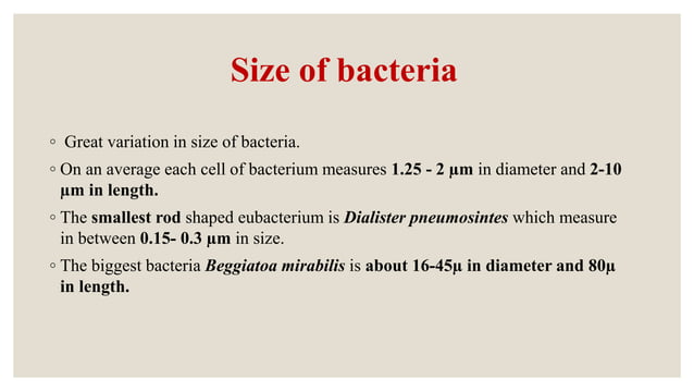 Size, Shape and Arrangement of bacteria | PPTX | Biological Sciences ...