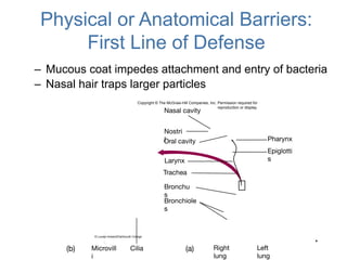 Micro14New.ppt.pdf