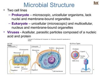 Micro1New.ppt.pptx the mai themes of micfrobiology | PPTX