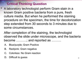 Micro 2.ppt structure and function of microorganisms; bacteria, archae ...