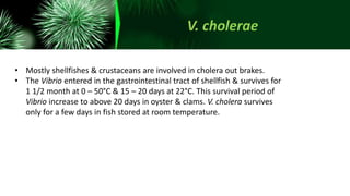 Micro 3rd chapter.pptx