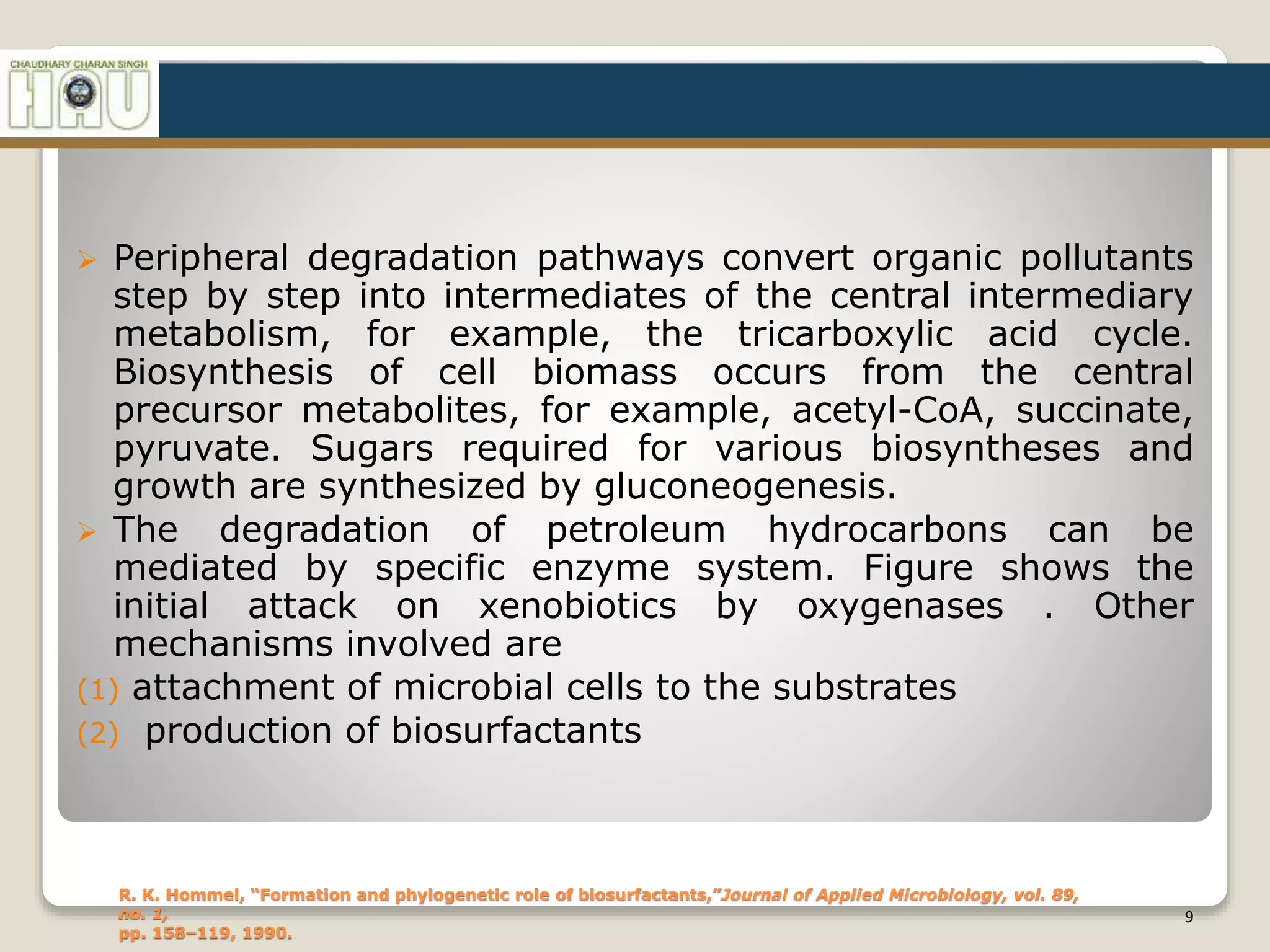 Pollution Abatement of Petroleum Hydrocarbons | PPT