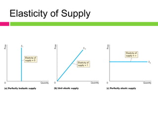 Elasticity Economics