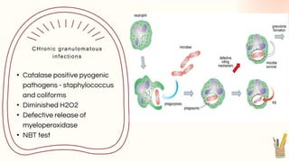 immunodeficiency diseases | PPTX