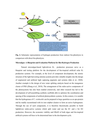 Microalgae- Bio-hydrogen production.docx
