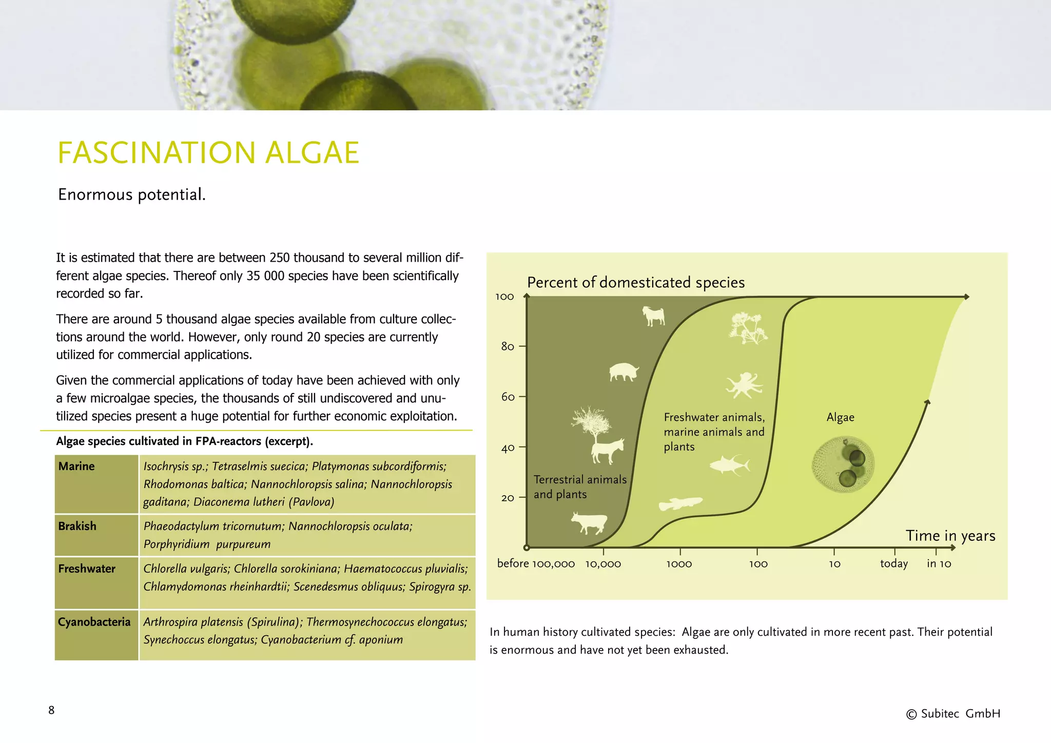 Information on Microalgae & Photobioreactors | PPT
