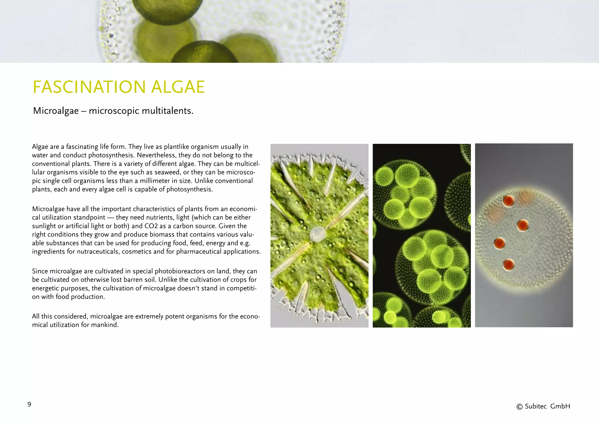 Information on Microalgae & Photobioreactors | PPT