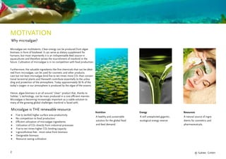 Information on Microalgae & Photobioreactors | PPT