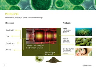 Information on Microalgae & Photobioreactors | PPT