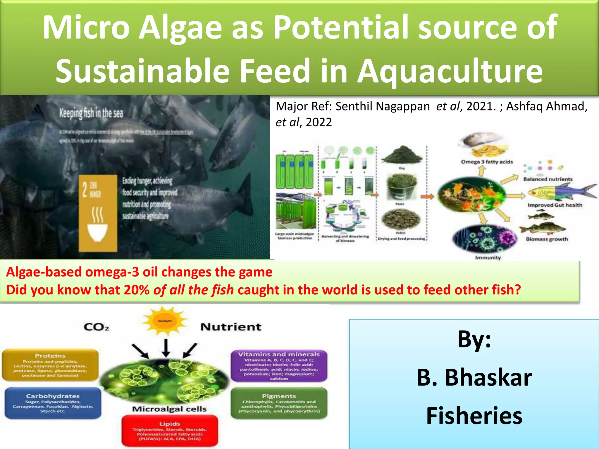 Micro algae as feed in Aquaculture by B.pptx