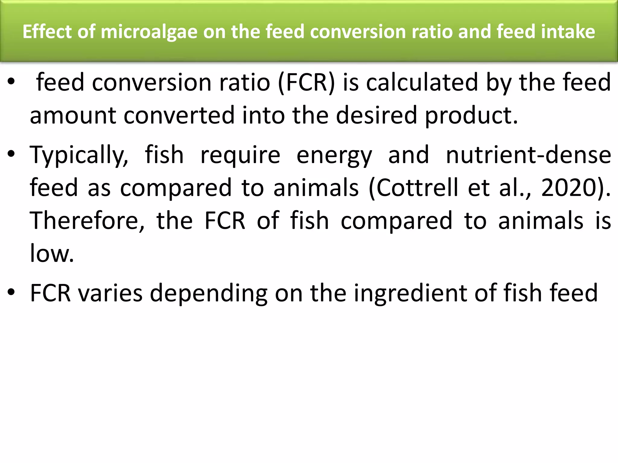 Micro algae as feed in Aquaculture by B.pptx