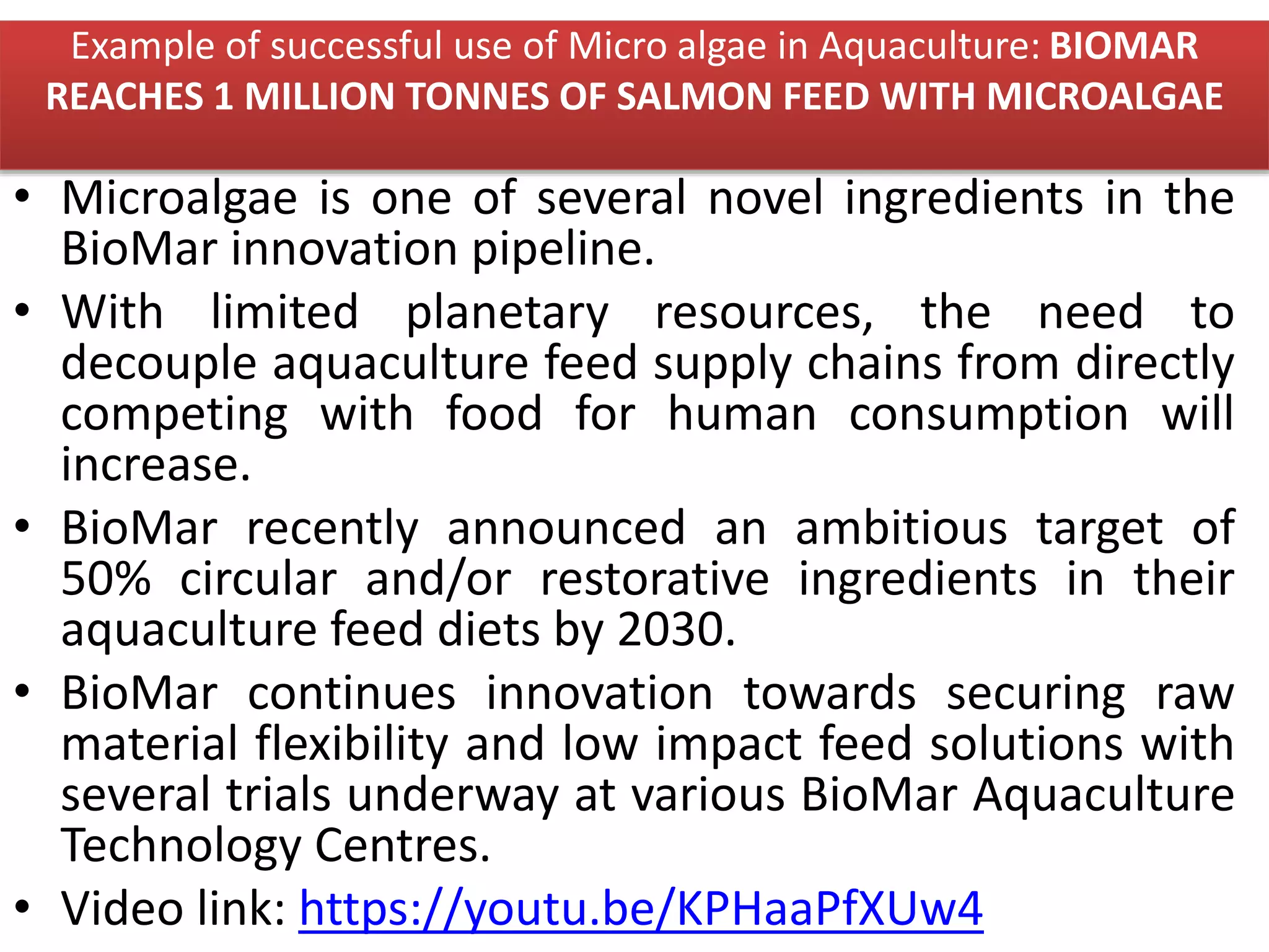 Micro algae as feed in Aquaculture by B.pptx
