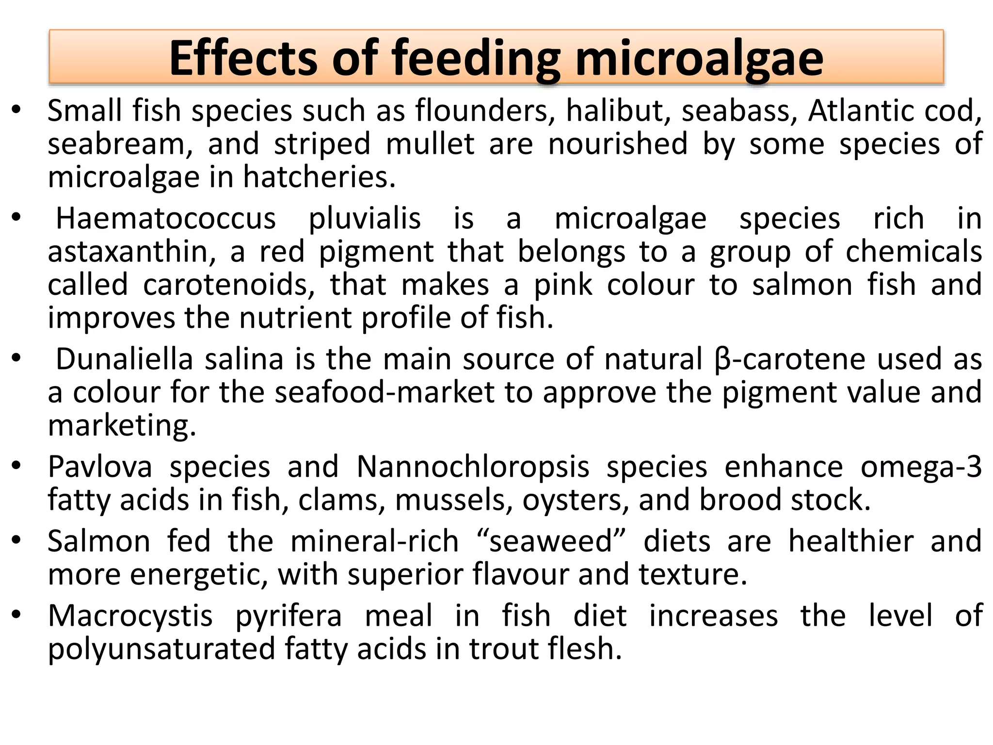 Micro algae as feed in Aquaculture by B.pptx