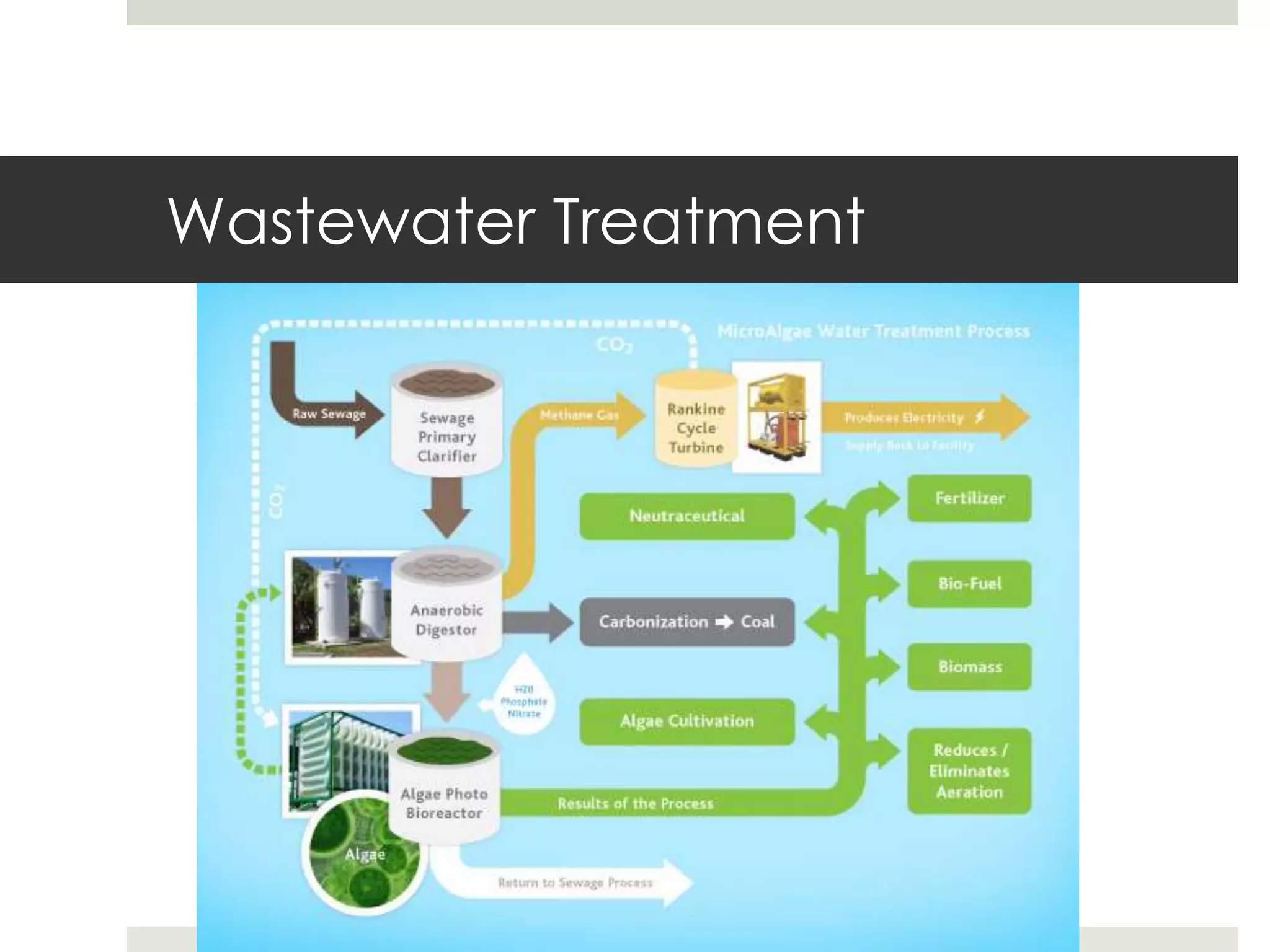 Microalgae biofuels | PPTX
