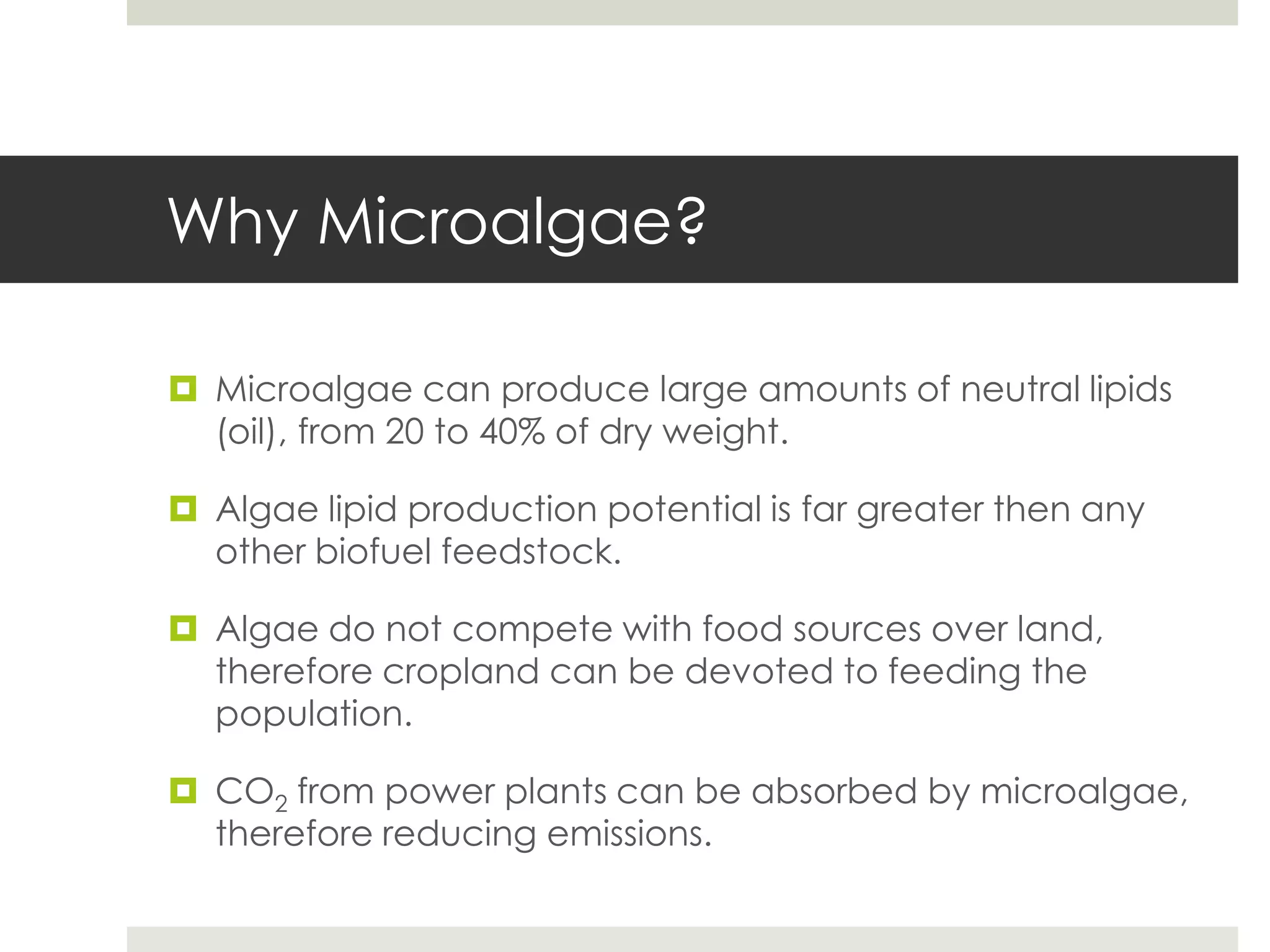 Microalgae biofuels | PPTX