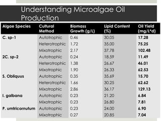 Microalgae biofuels | PPTX