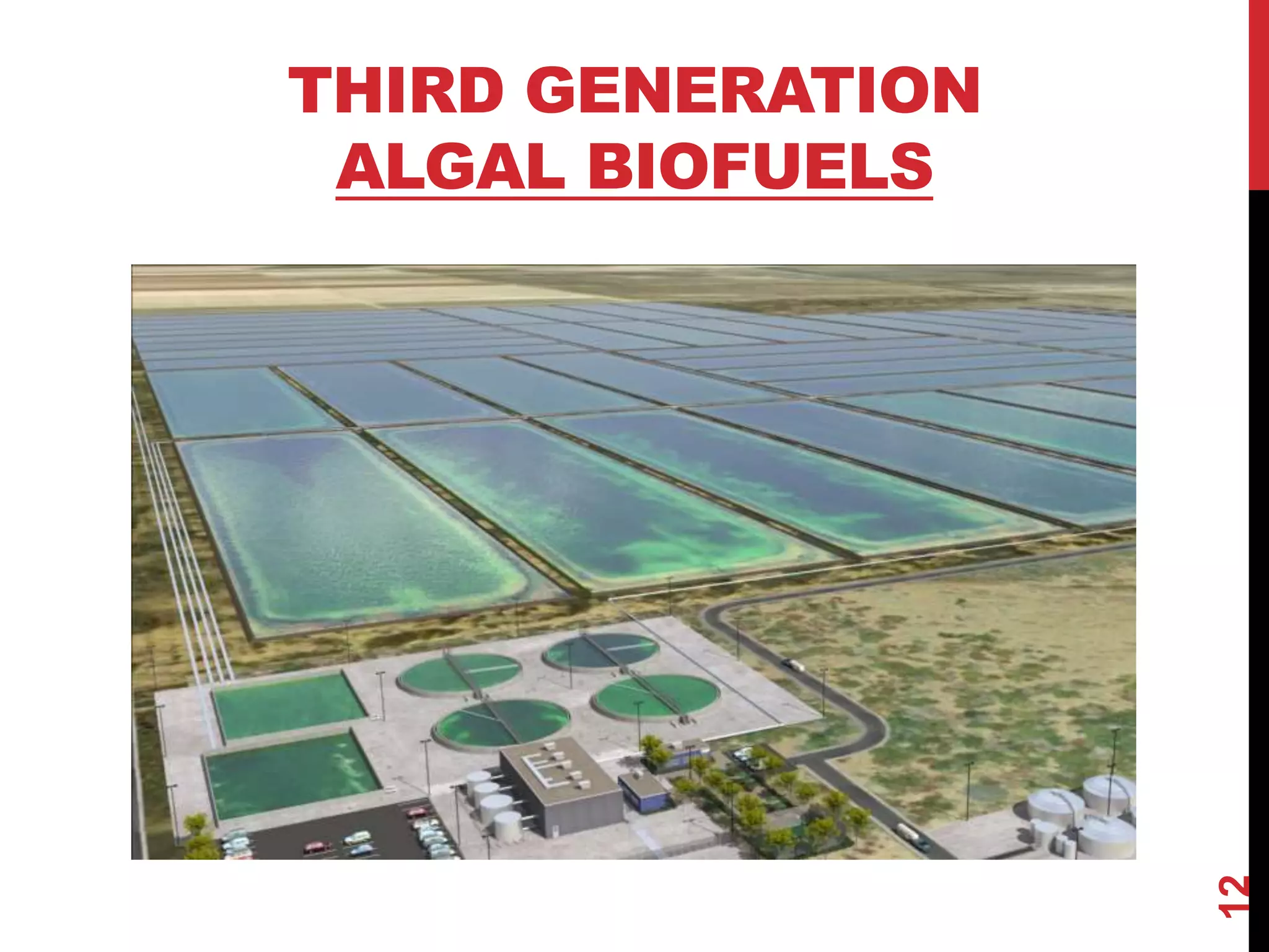 Review of latest Microalgae Biofuel Research | PPTX