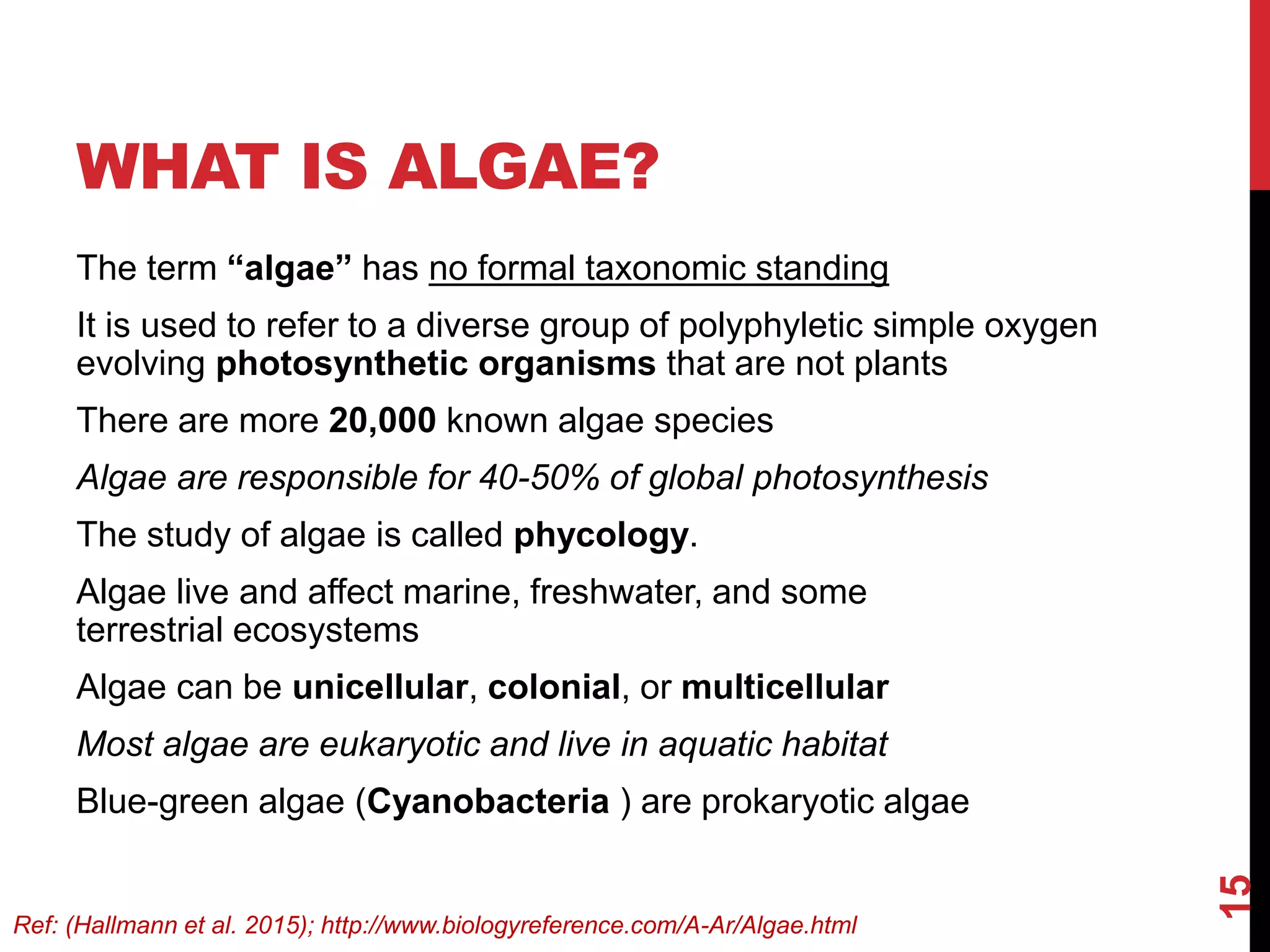 Review of latest Microalgae Biofuel Research | PPTX