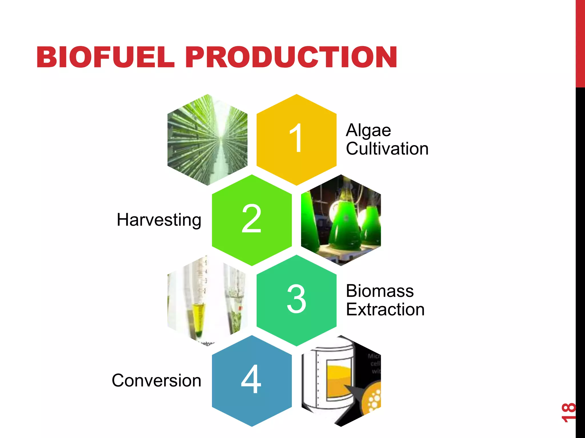 Review of latest Microalgae Biofuel Research | PPTX