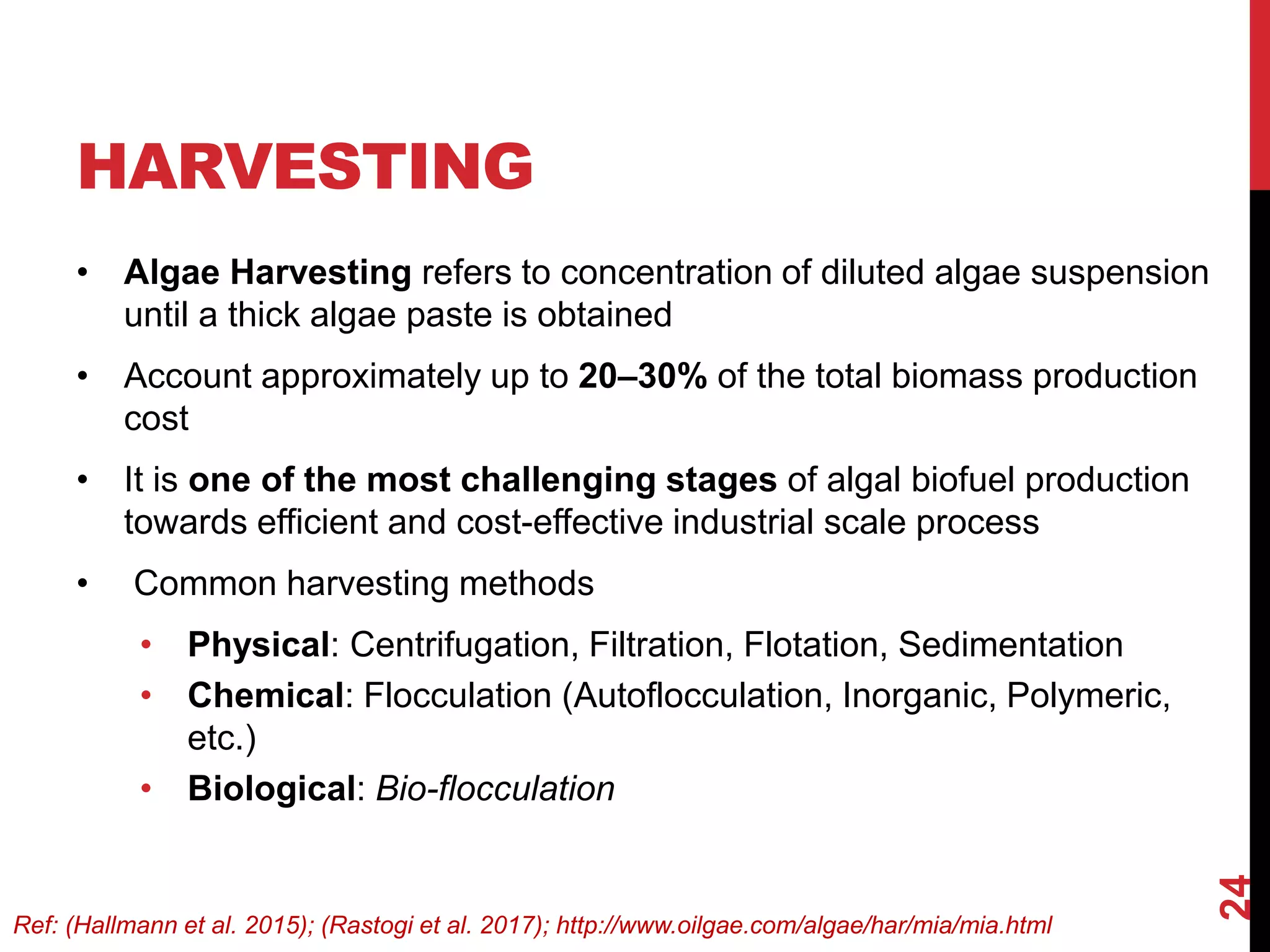 Review of latest Microalgae Biofuel Research | PPTX