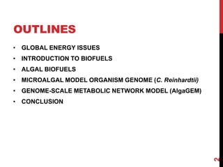 Review of latest Microalgae Biofuel Research | PPTX