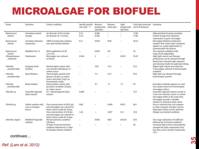 Review of latest Microalgae Biofuel Research | PPTX