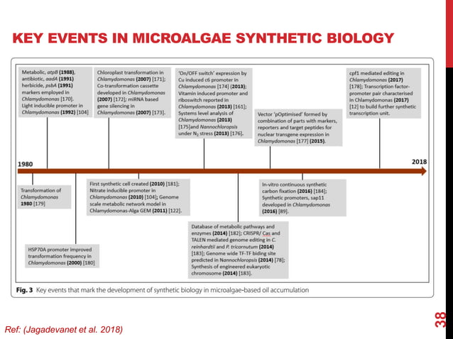 Review of latest Microalgae Biofuel Research | PPTX