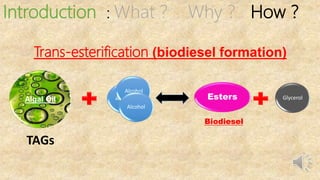 Microalgae cultivation in different pH, Temperature and Media | PPTX