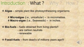 Microalgae cultivation in different pH, Temperature and Media | PPTX