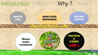 Microalgae cultivation in different pH, Temperature and Media | PPTX