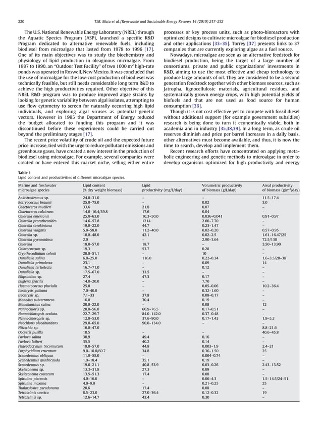 Microalgae for biodiesel production | PDF