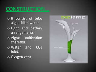 Microalgae Lamp : A Lamp that absorbs CO2 | PPTX | Chemistry | Science